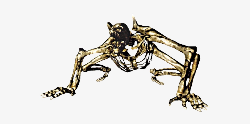 Skeleton Beast - Dark Souls Skeleton Png PNG Image | Transparent PNG ...