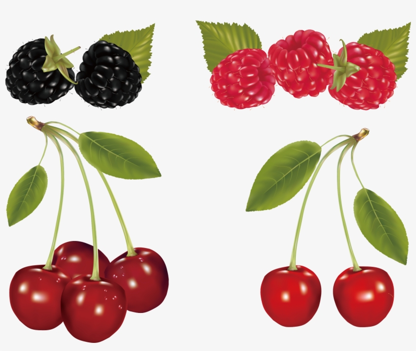 Cherry Fruit Clip Art - Cherries Clip Art PNG Image | Transparent PNG ...