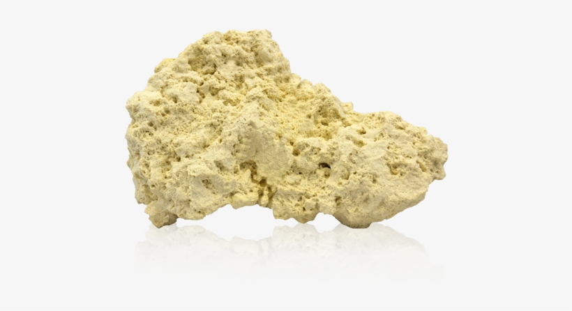 Download Concepts Deep Blue Professional - Coral Reef Rock Png ...