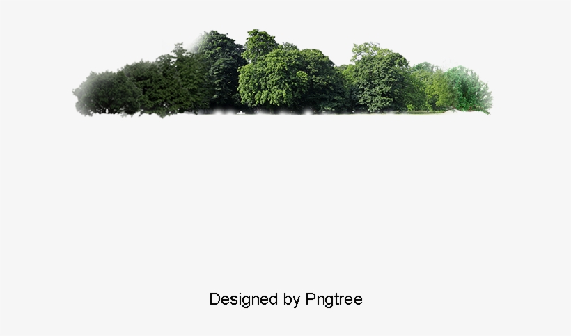 Download Forest, Trees, Grass Png And Psd - Psd | Transparent PNG ...