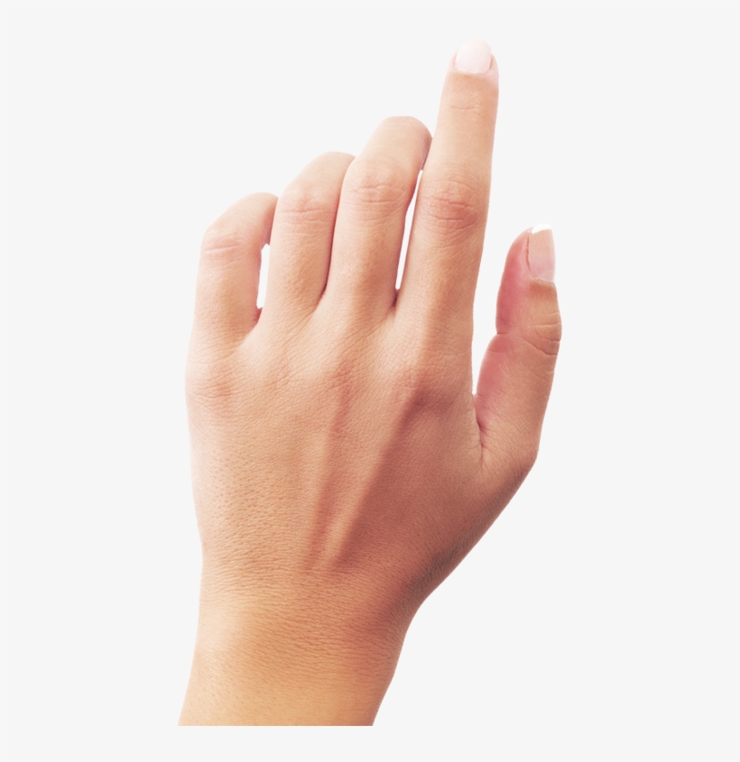 Hand Png PNG Image | Transparent PNG Free Download on SeekPNG