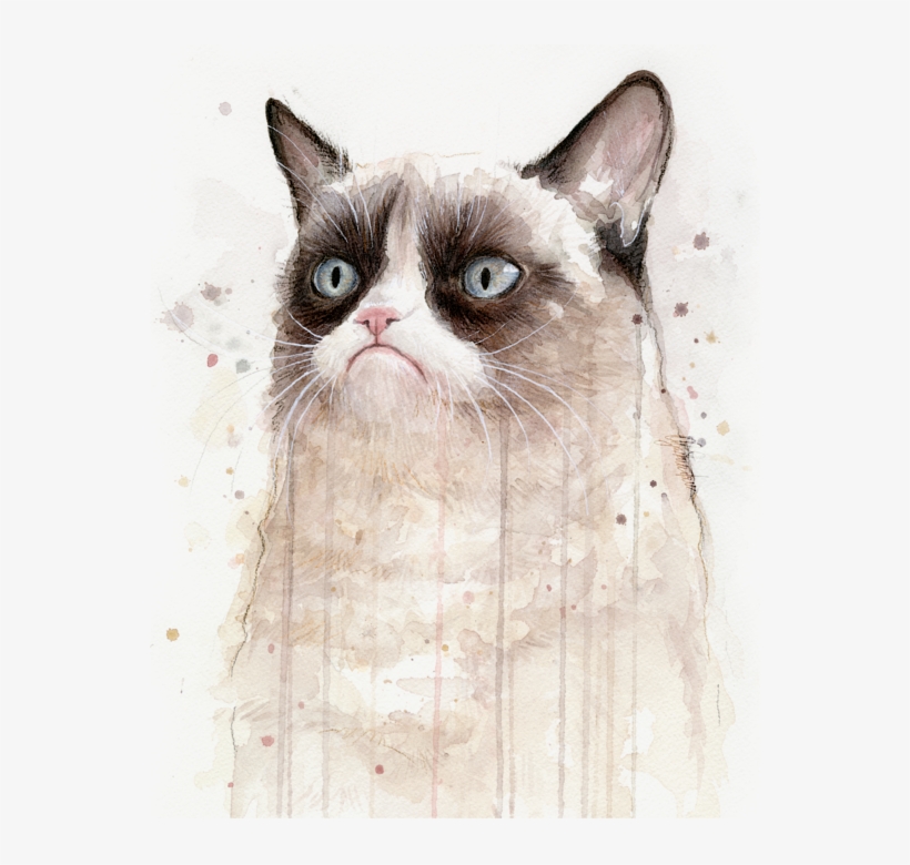 Grumpy Cat Watercolor PNG Image | Transparent PNG Free Download on SeekPNG