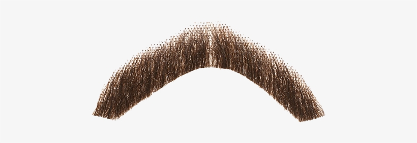 Moustache Png Hd - Mustache Png PNG Image | Transparent PNG Free ...