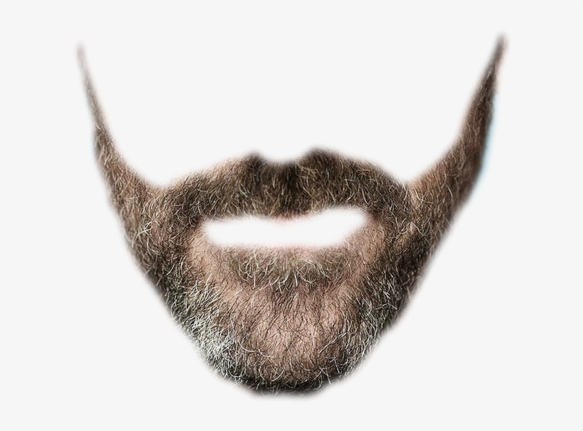 Whiskers And Beard - Transparent Background Beard Png PNG Image ...