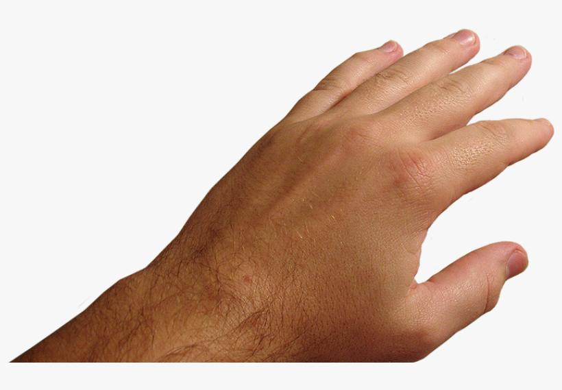 Hand Png PNG Image | Transparent PNG Free Download on SeekPNG