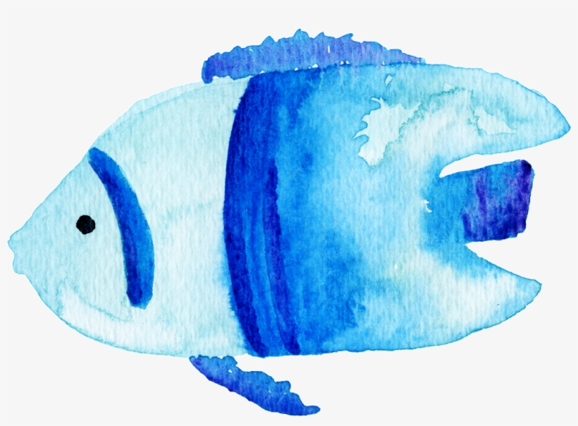 Hand Painted Blue Watercolor Fish Png Transparent - Watercolor Painting ...