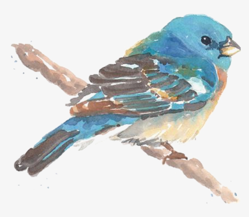 Report Abuse - Drawing PNG Image | Transparent PNG Free Download on SeekPNG