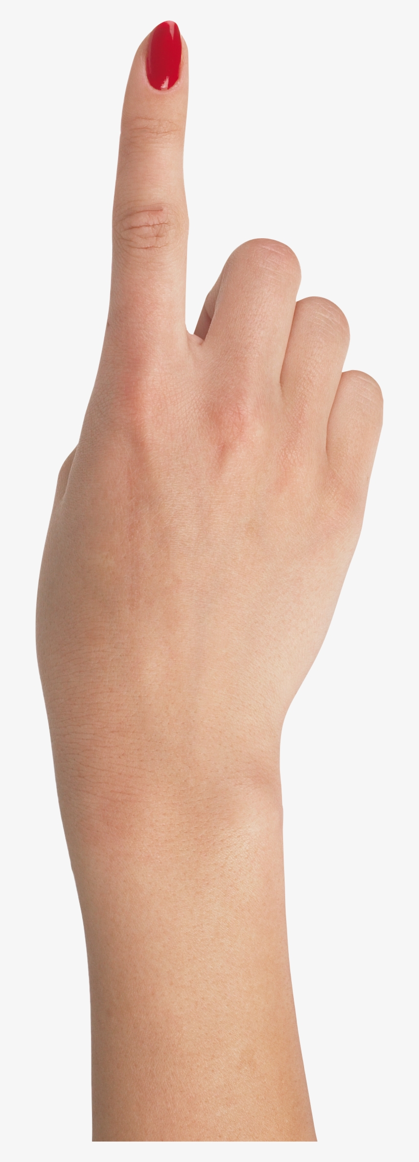 Download One Finger Hand Png Image - Hand | Transparent PNG Download ...