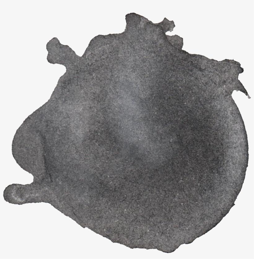 Free Download PNG Image | Transparent PNG Free Download on SeekPNG