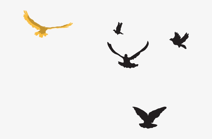 Download Black, Sky, Birds, Bird, Flying, Gold, The, And - Cartoon ...