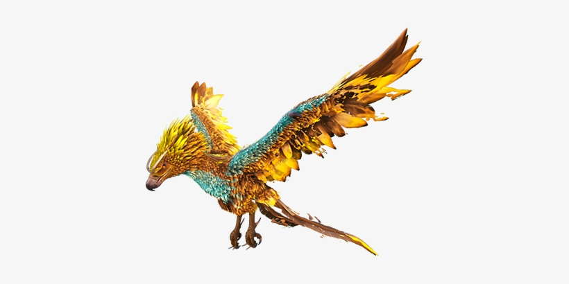 Phoenix - Ark Survival Evolved Phoenix PNG Image | Transparent PNG Free ...