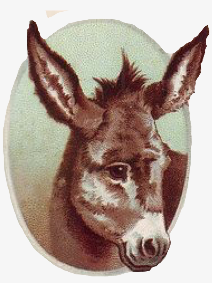Donkey - Vintage Donkey Poster PNG Image | Transparent PNG Free ...