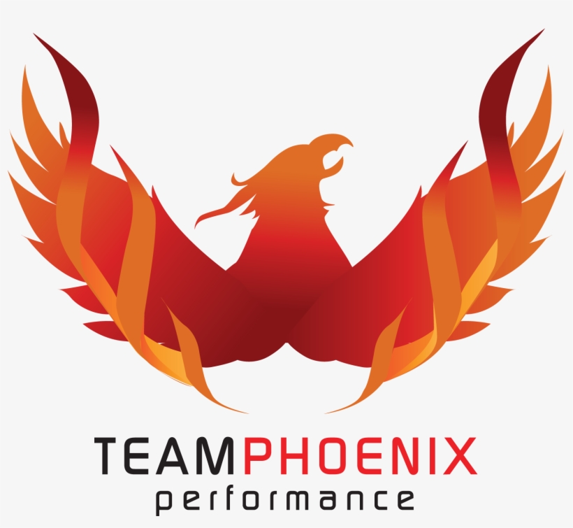 Team-phoenix - Phoenix PNG Image | Transparent PNG Free Download on SeekPNG