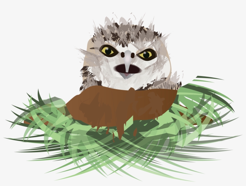 Jpg Free Burrowing Owl Big Image Png - Burrowing Owl Clip Art PNG Image ...