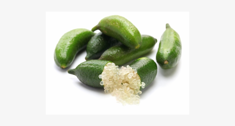 Australian Finger Lime Tree - Finger Lime PNG Image | Transparent PNG ...