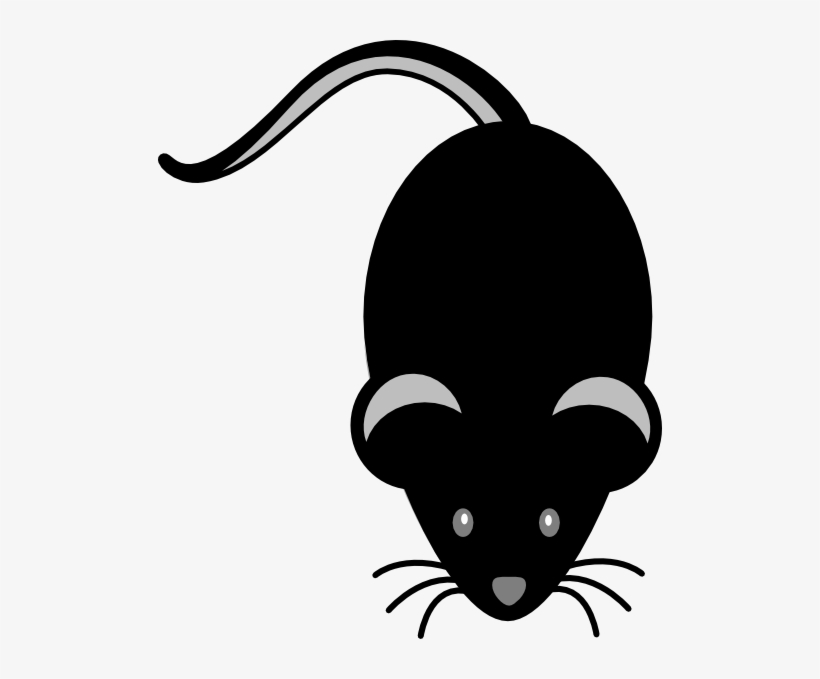 Download Black Mouse Light Grey Eyes Svg Clip Arts 504 X 599 ...