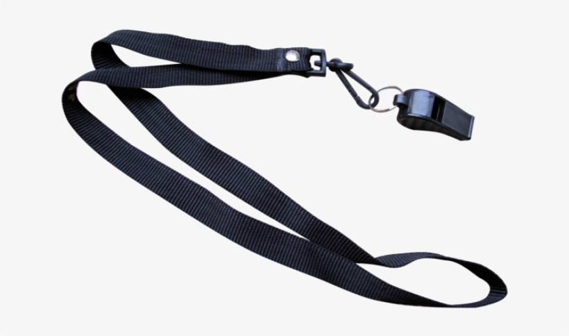 Download Lanyard | Transparent PNG Download | SeekPNG