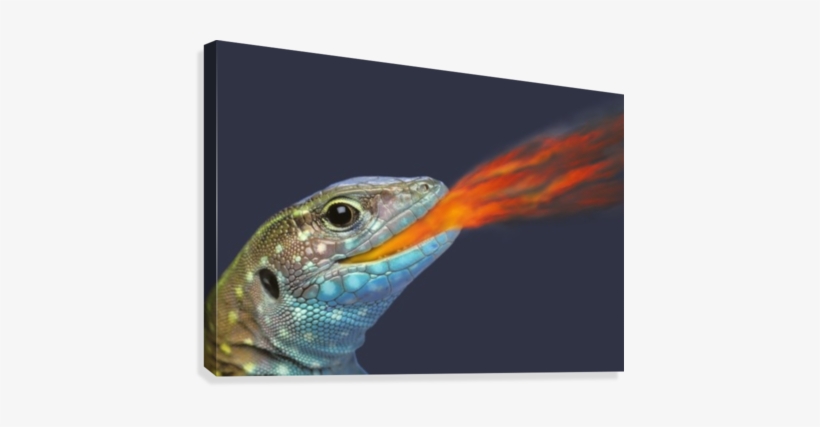Fire-breathing Rainbow Lizard - Posterazzi Fire-breathing Rainbow ...