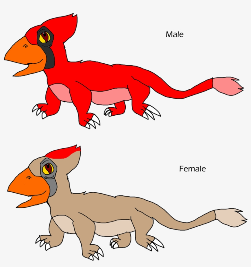 Cardinal Lizards By Kallytoonsstudios On Deviantart - Lizard PNG Image ...