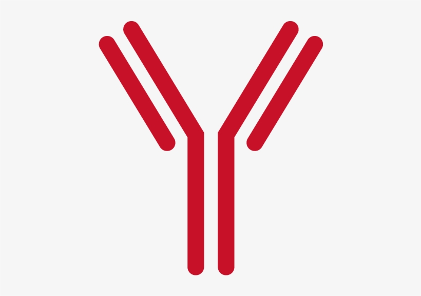 Years In Business - Antibody Clip Art PNG Image | Transparent PNG Free ...