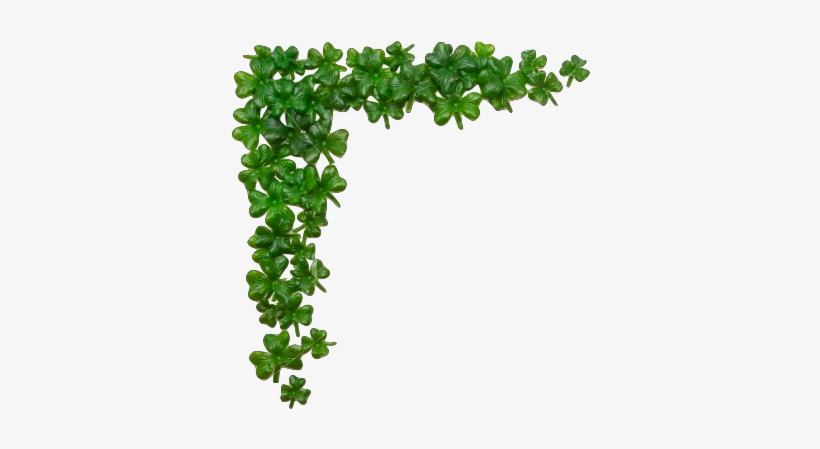 Clover Frame - May Love And Laughter Light Your Day PNG Image ...