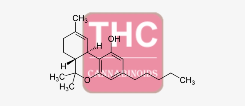 Tetrahydrocannabinol Antibody (mab) - Thc Symbol (tetrahydrocannabi ...