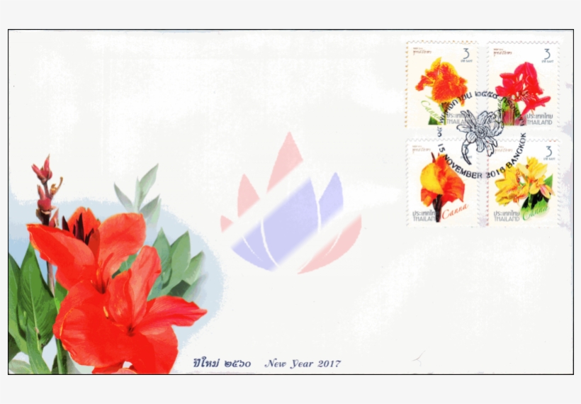 Cattleya PNG Image | Transparent PNG Free Download on SeekPNG