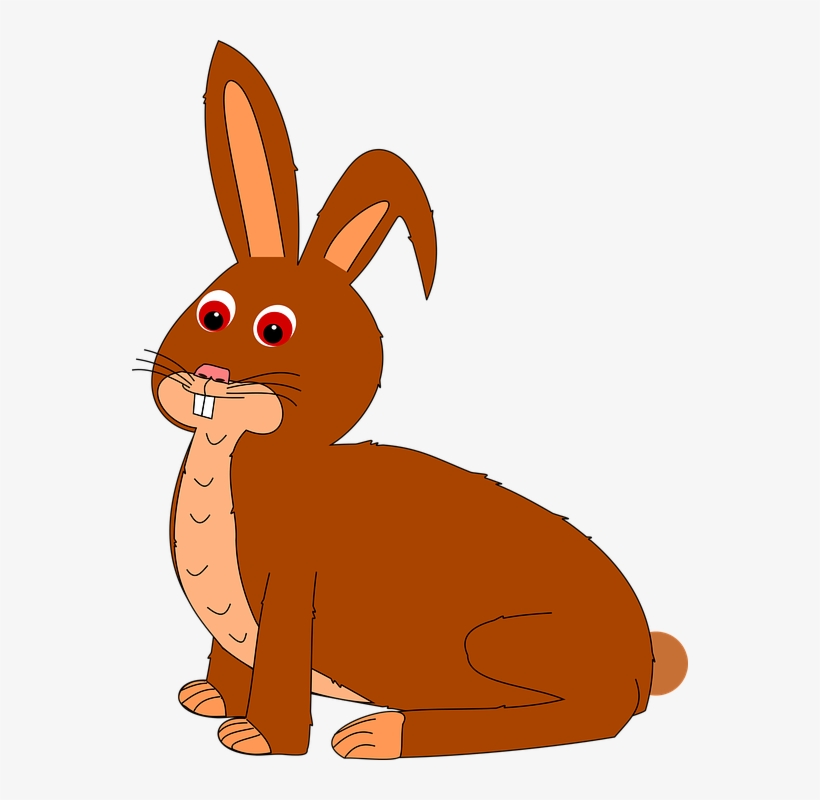 Rabbit Crunch Bunny Animal Free Vector Graphic - Cartoon PNG Image ...