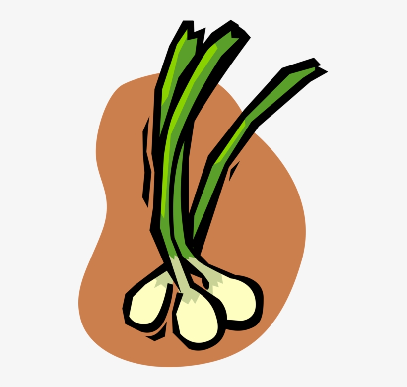 Vector Illustration Of Green Scallion Onion Vegetable PNG Image ...