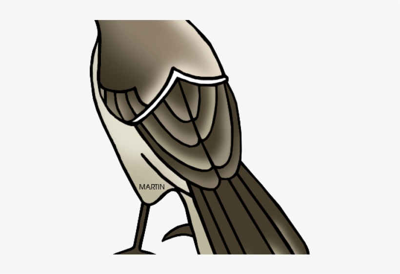 Mockingbird Clipart Bird Outline - Mockingbird Clipart PNG Image ...