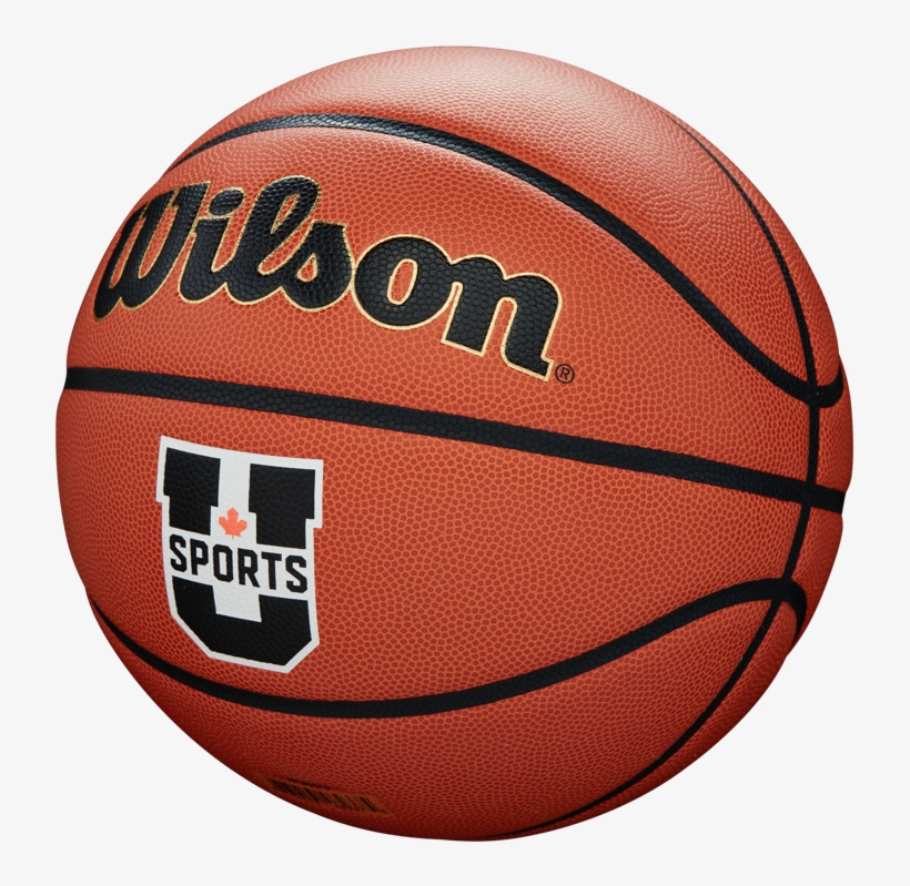 Download Wilson Basketball Png | Transparent PNG Download | SeekPNG