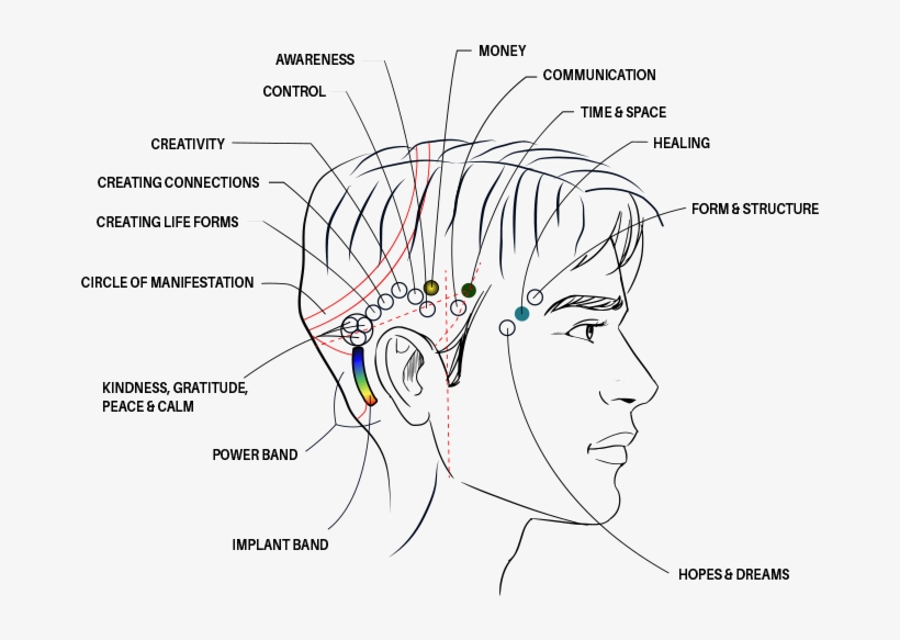 Access Bars - Acces Bars Points Head PNG Image | Transparent PNG Free ...