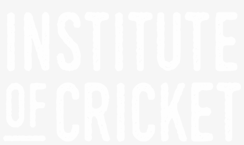 Professional Cricket Coaching And Player Development - Calligraphy PNG ...