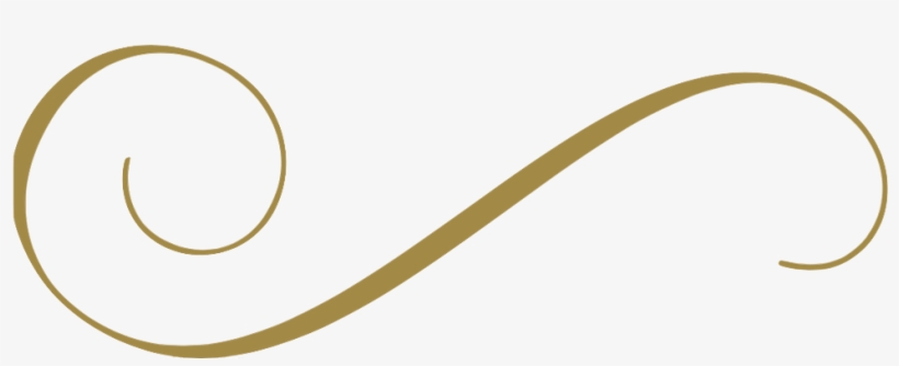 Swirl Accent PNG Image | Transparent PNG Free Download on SeekPNG