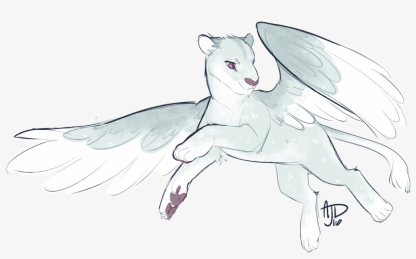 Magical Drawing - Illustration PNG Image | Transparent PNG Free ...