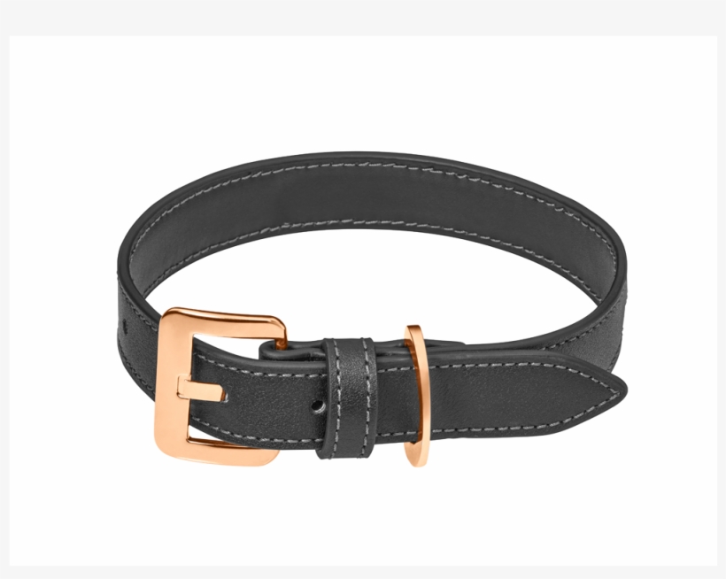 Buckle PNG Image | Transparent PNG Free Download on SeekPNG