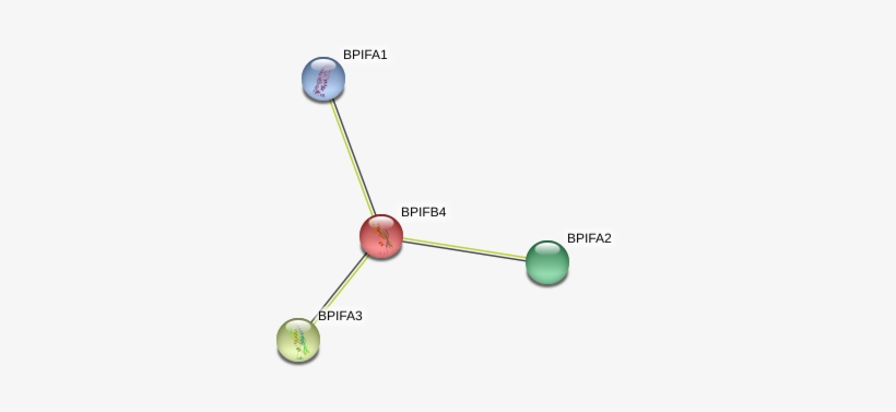 Database PNG Image | Transparent PNG Free Download on SeekPNG