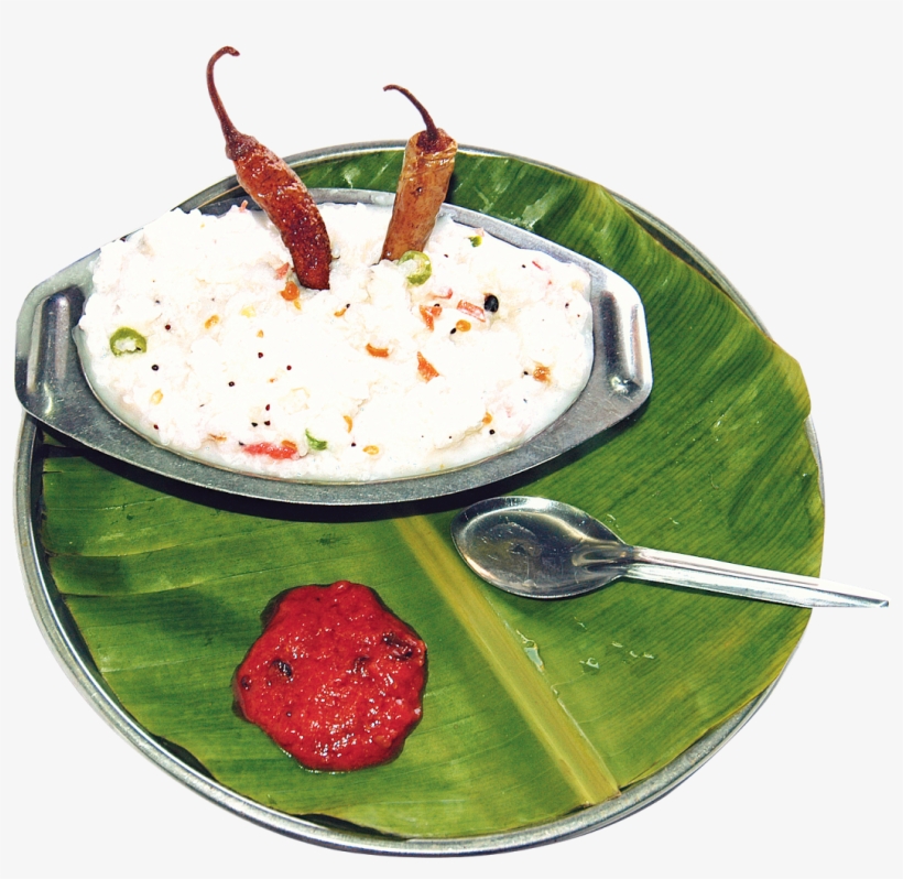 Curd Rice Stock Images, Royalty-free Images & Vectors - Curd Rice ...