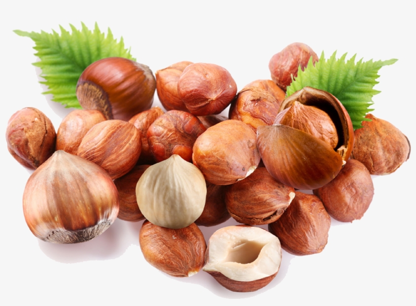 Findik - Shelled Hazelnut PNG Image | Transparent PNG Free Download on ...