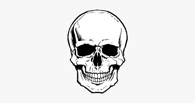 A Technical Drawing Of A Skull For Sculpture Drawn - Skull Drawing PNG ...