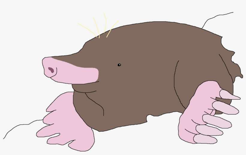 Mole PNG Image | Transparent PNG Free Download on SeekPNG