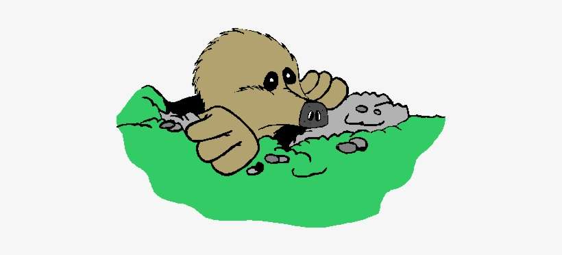 Mole PNG Image | Transparent PNG Free Download on SeekPNG