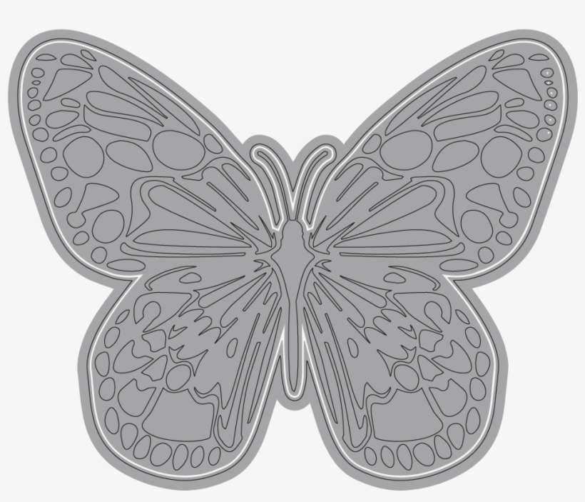 Butterfly Aperture - Elizabeth PNG Image | Transparent PNG Free ...