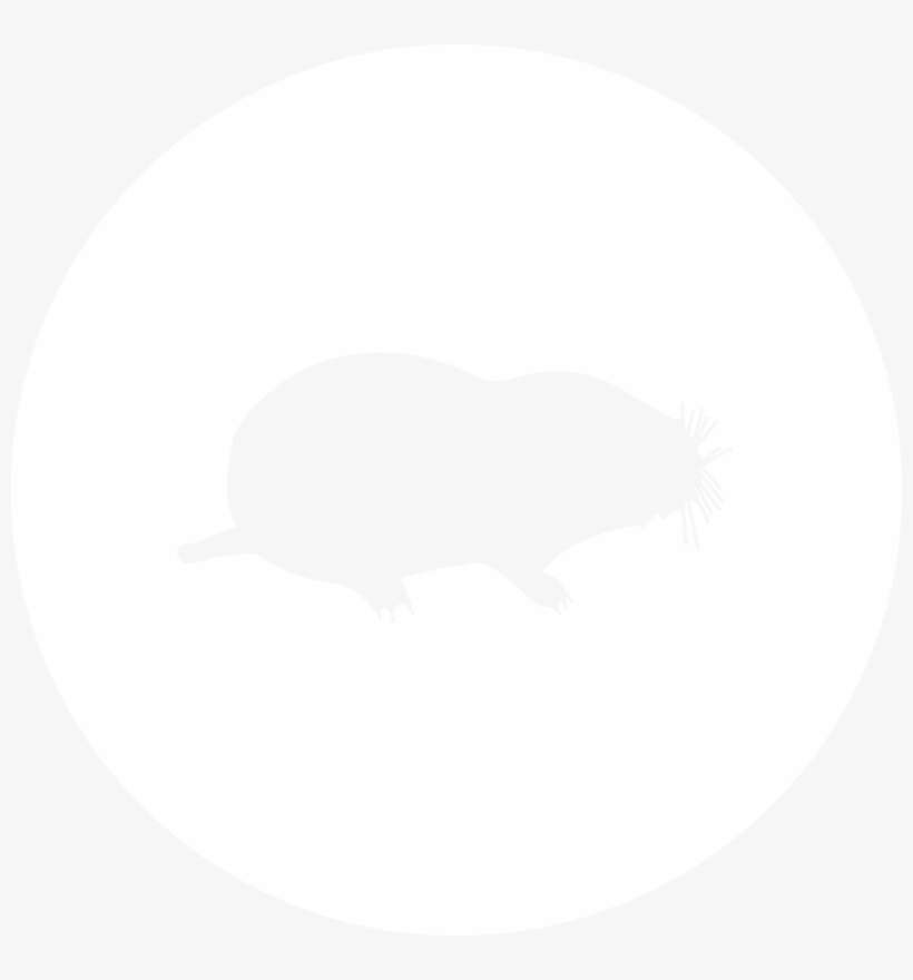 Mole - Moles PNG Image | Transparent PNG Free Download on SeekPNG