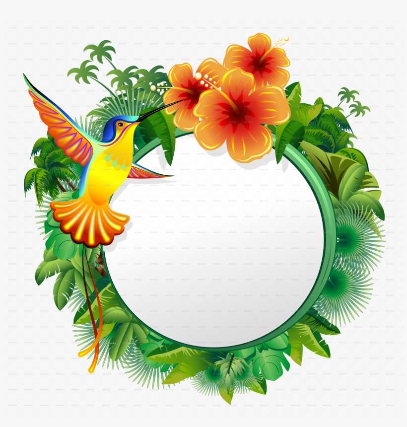 Tropical Flower Frame Png PNG Image | Transparent PNG Free Download on ...
