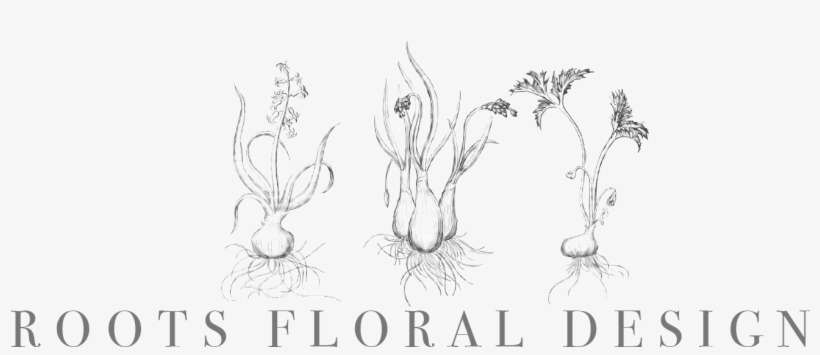 Roots Floral Design - Sketch PNG Image | Transparent PNG Free Download ...