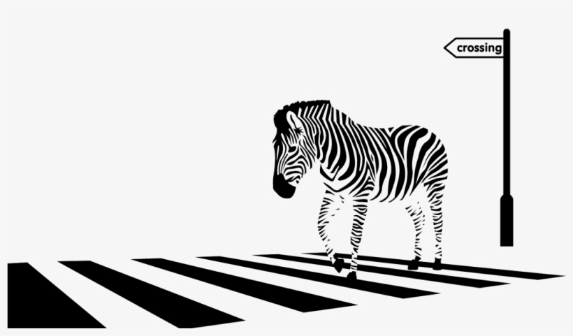 Download Zebra Crossing Png High Quality Image - Zebra Crossing A Zebra ...