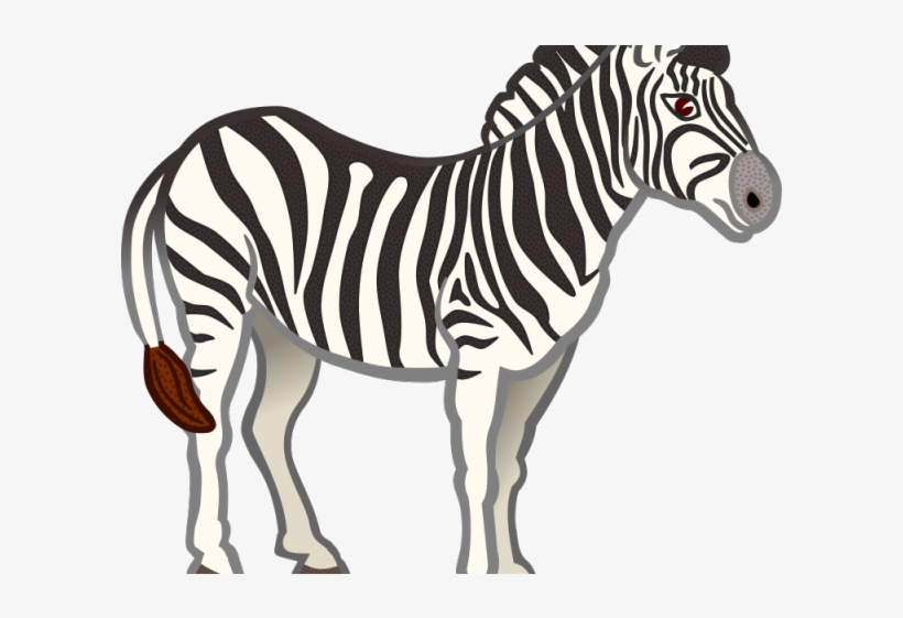 Zebra Png Transparent Images - Zebra Clip Art Png PNG Image ...