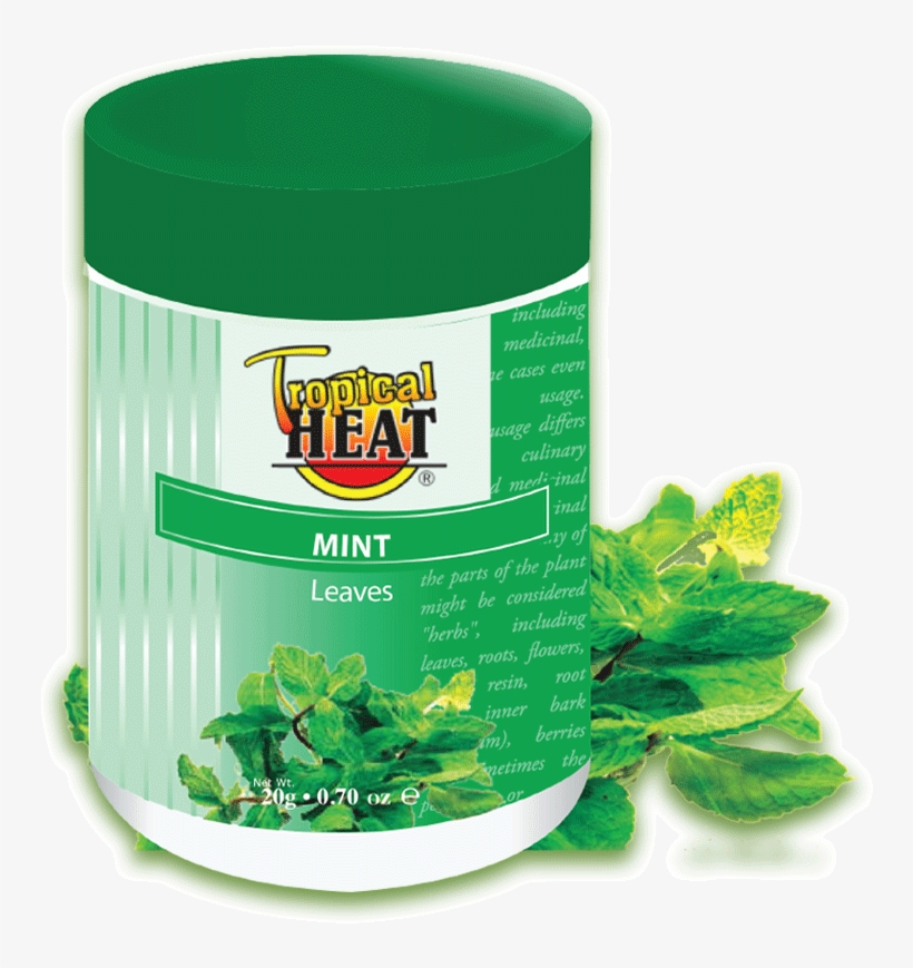 Mint Rubbed - Mint.com PNG Image | Transparent PNG Free Download on SeekPNG