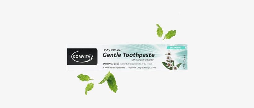Natural Oral Care - Comvita Natural Gentle Toothpaste 3.5 Ounce PNG ...